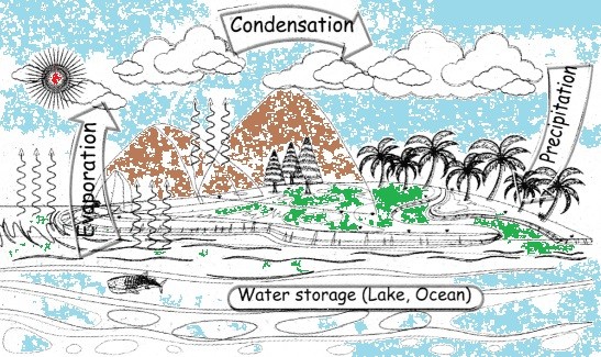 4th Science Guide Term 2 Lesson 2 Water - STUDENTS GUIDE 360